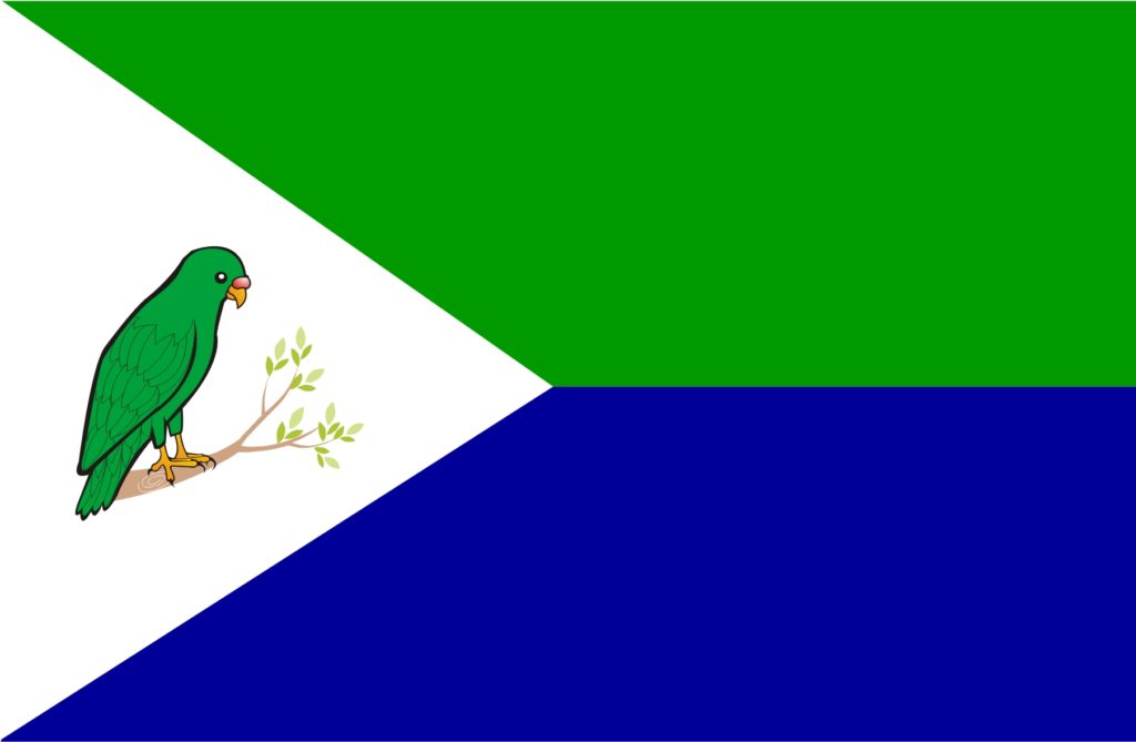 Bandera de Puerto Rico: historia, significado, y mucho mas