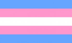 Bandera trans: todo lo que necesita saber sobre ella – Conozcamos Todas ...