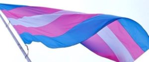 Bandera trans: todo lo que necesita saber sobre ella – Conozcamos Todas ...
